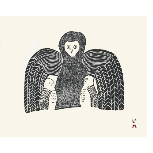 Enfolding Owl by Napachie Toonoo from Cape Dorset. - Ukpik Art Enfolding Owl by Napachie Toonoo from Cape Dorset. - Ukpik Art